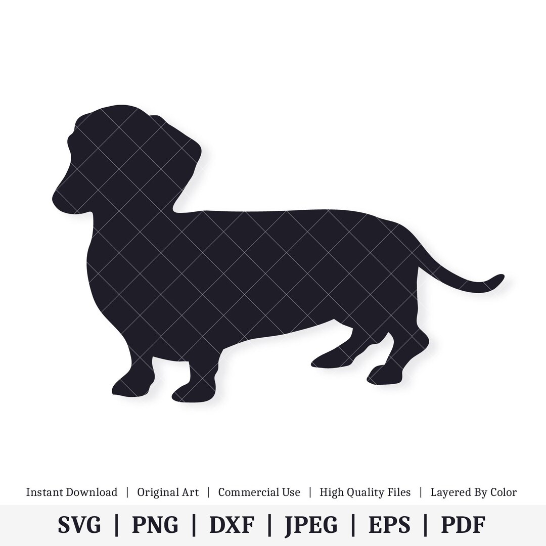 Dachshund Dog | Vector Artwork | INSTANT DIGITAL DOWNLOAD | Svg | Png ...