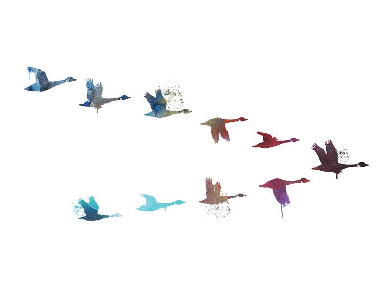 Abstract Geese Print | 3 Available Sizes | Free Shipping to Canada & US ...