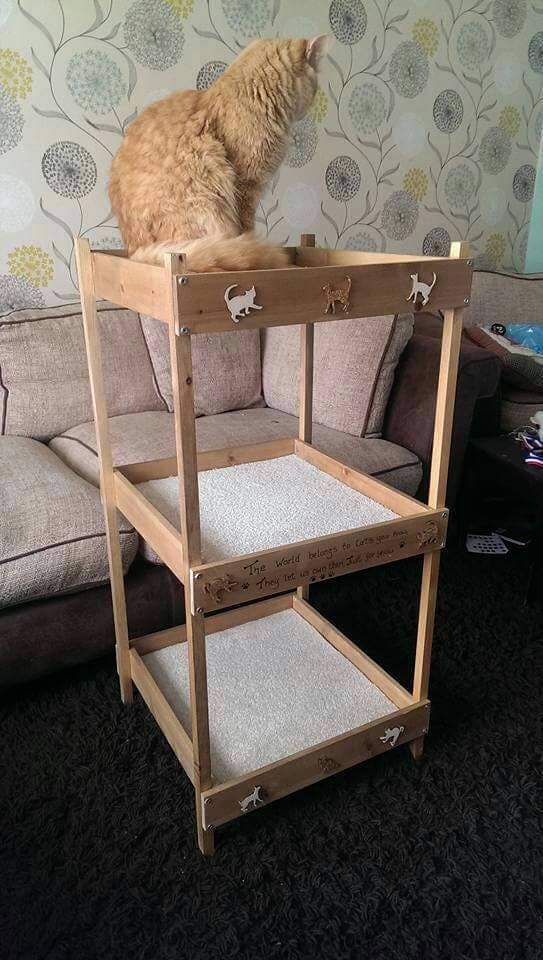 Multi Large Cat Bunk Bed - Etsy