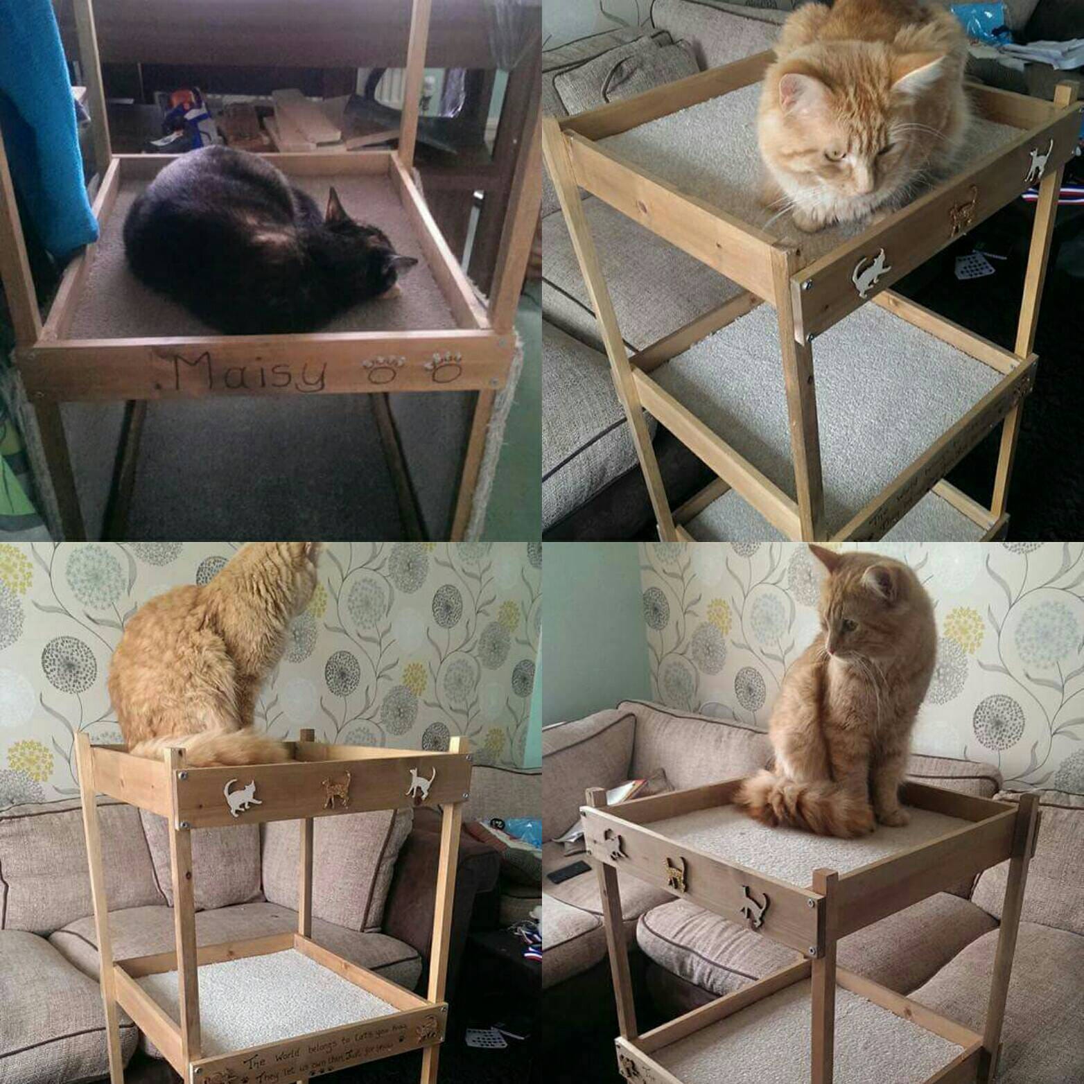 Multi Large Cat Bunk Bed - Etsy