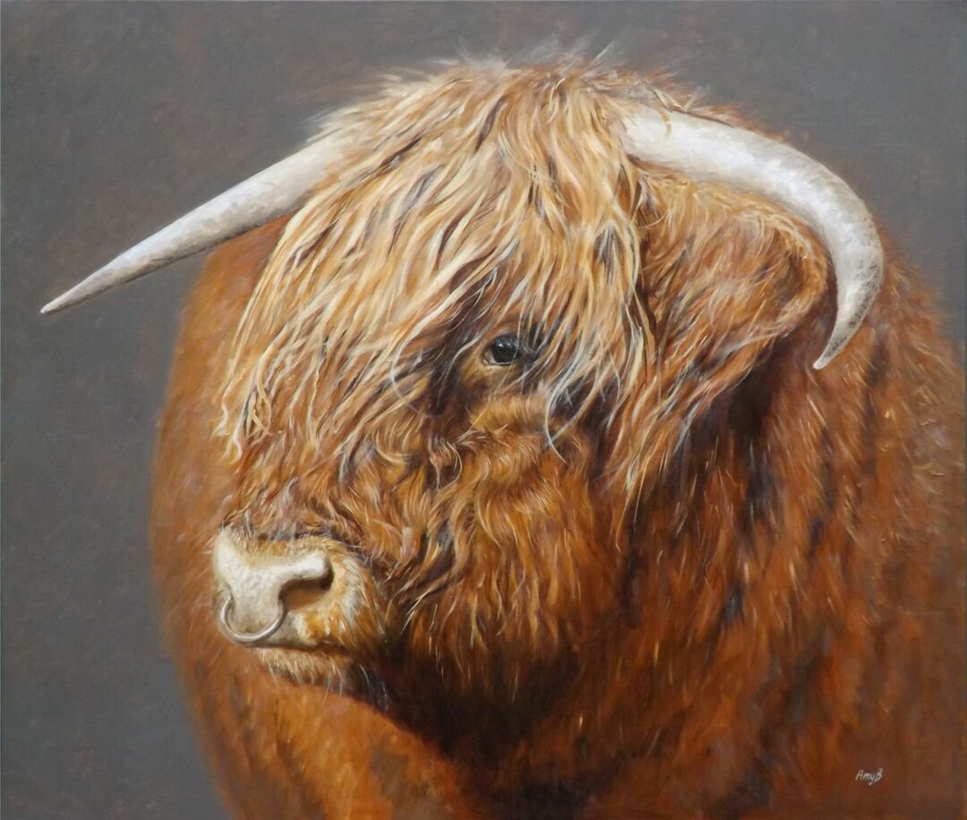 Amy Brown Countryside Art Giclee Print of Conan Highland Bull Print ...