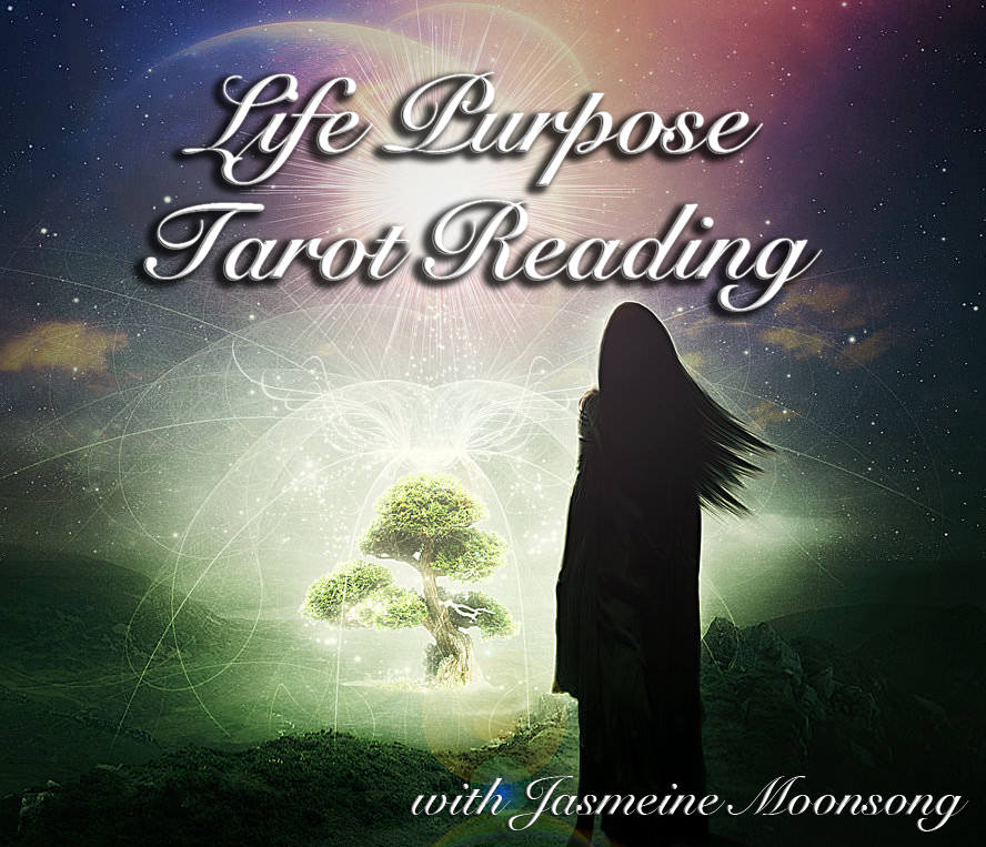 Life Purpose Tarot Reading