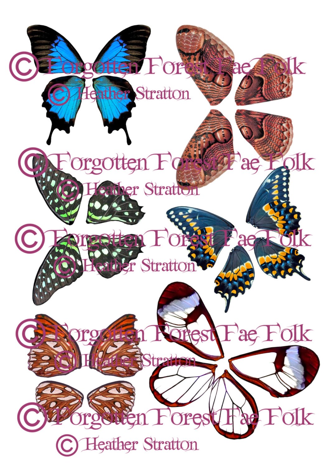 Assorted Printable Butterfly Wings - Etsy