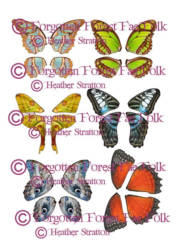 Assorted Printable Butterfly Wings - Etsy