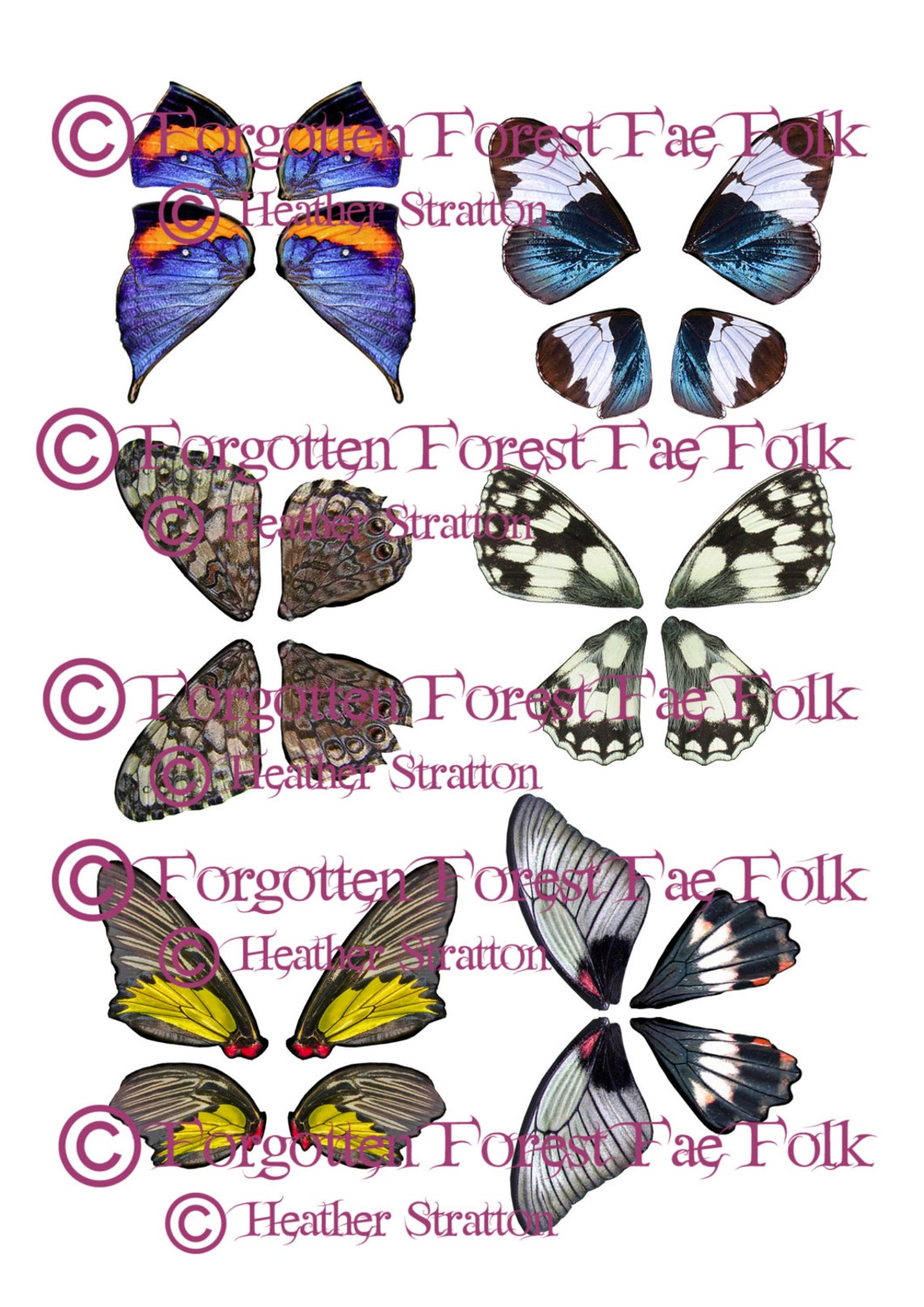 Assorted Printable Butterfly Wings - Etsy