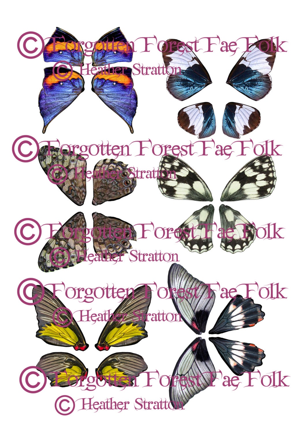 Assorted Printable Butterfly Wings - Etsy