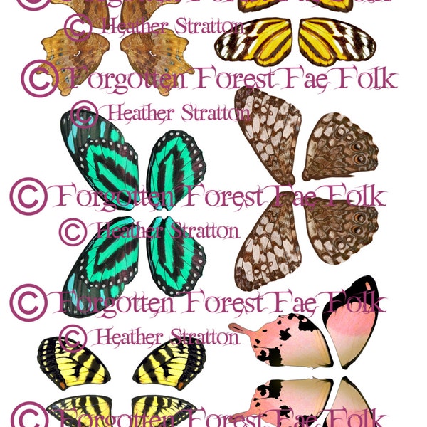 Organza Butterfly Wings - Etsy