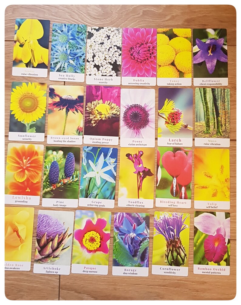 Emotional Healing Flower Oracle Cards & PDF copy of the | Etsy