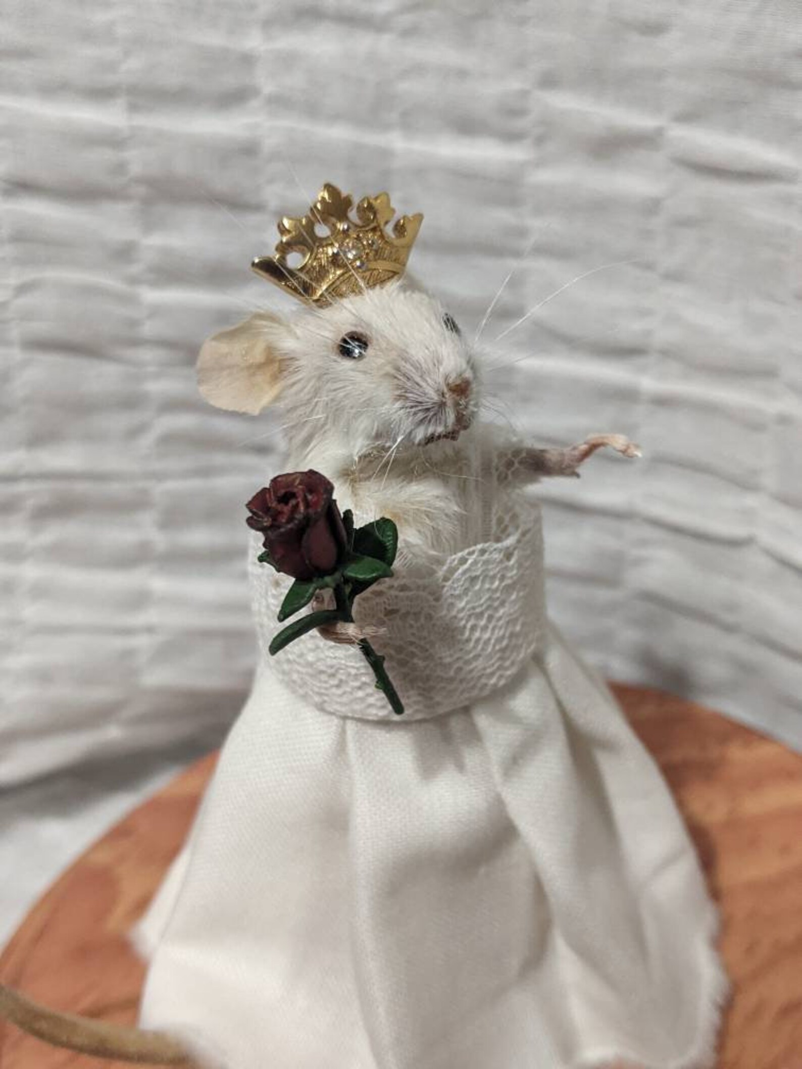 Queen Taxidermy Mouse | Etsy