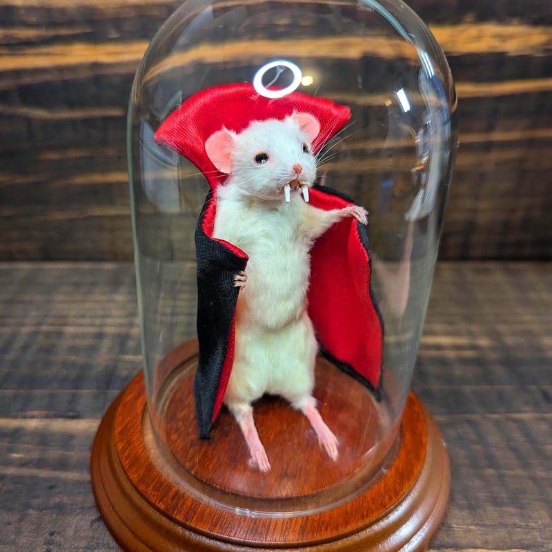 Taxidermied Mice - Etsy