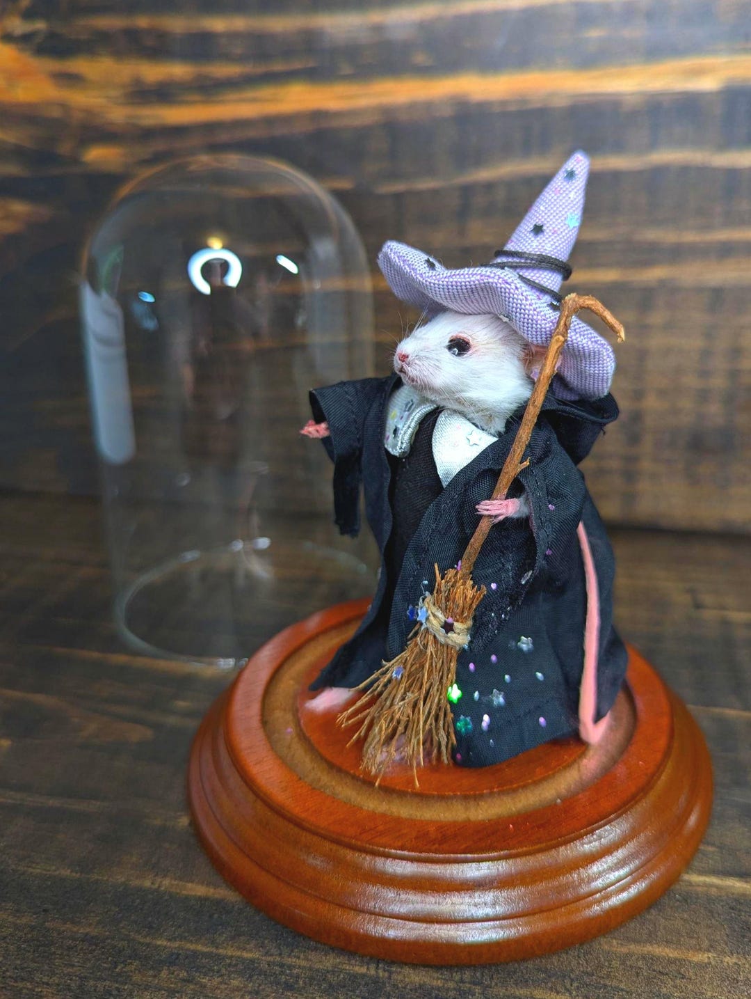 Taxidermy Witch Mouse - Etsy