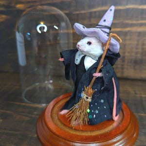 Taxidermy Witch Mouse - Etsy