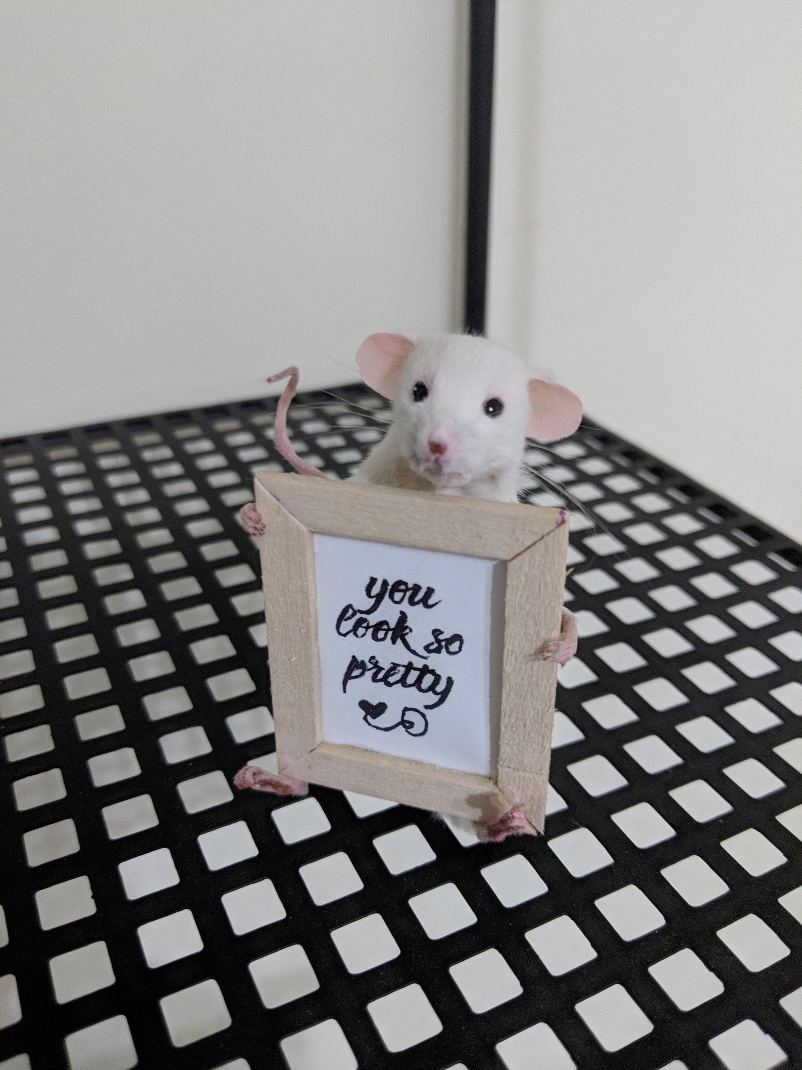 Taxidermy Mouse - Etsy
