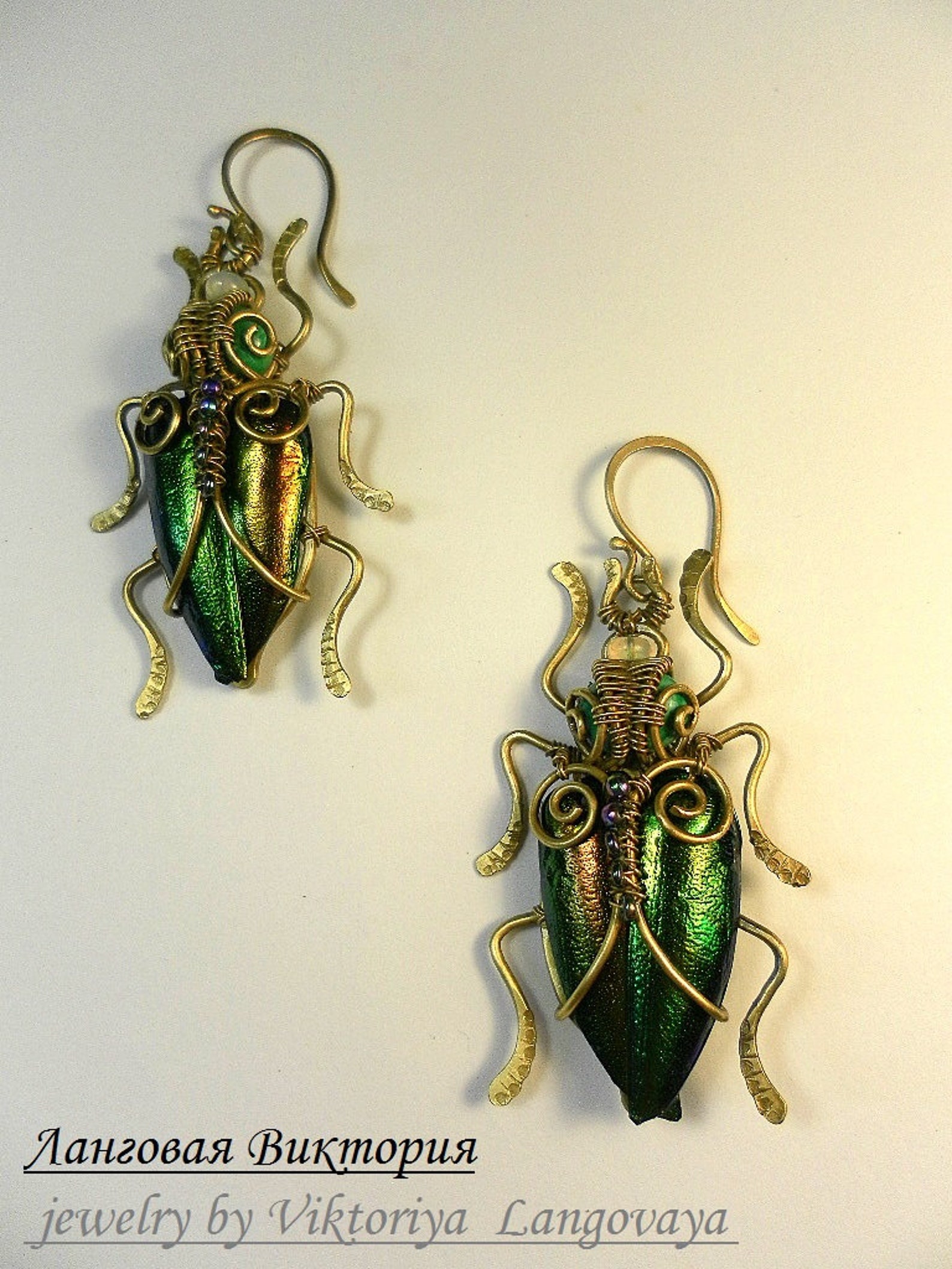 Wire Wrapped Beetle Wing Earrings: Brass, Malachite & Opal - Etsy