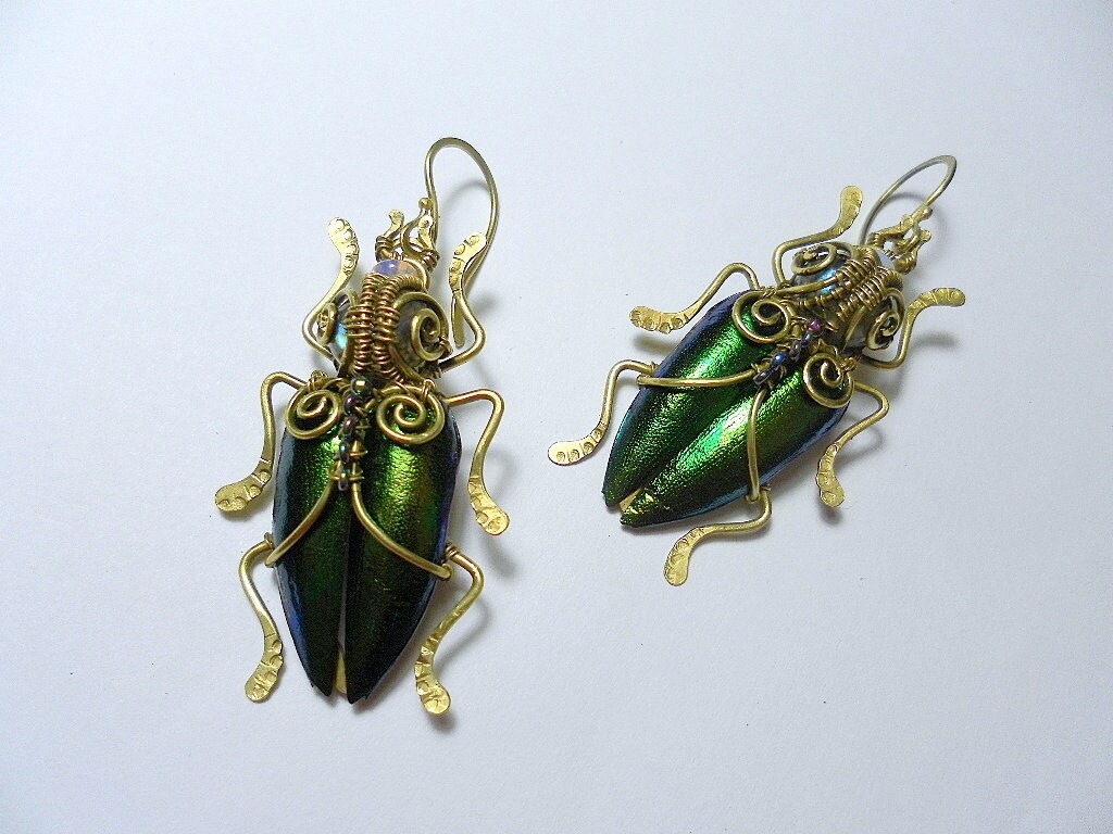 Wire Wrapped Beetle Wing Earrings: Brass, Malachite & Opal - Etsy