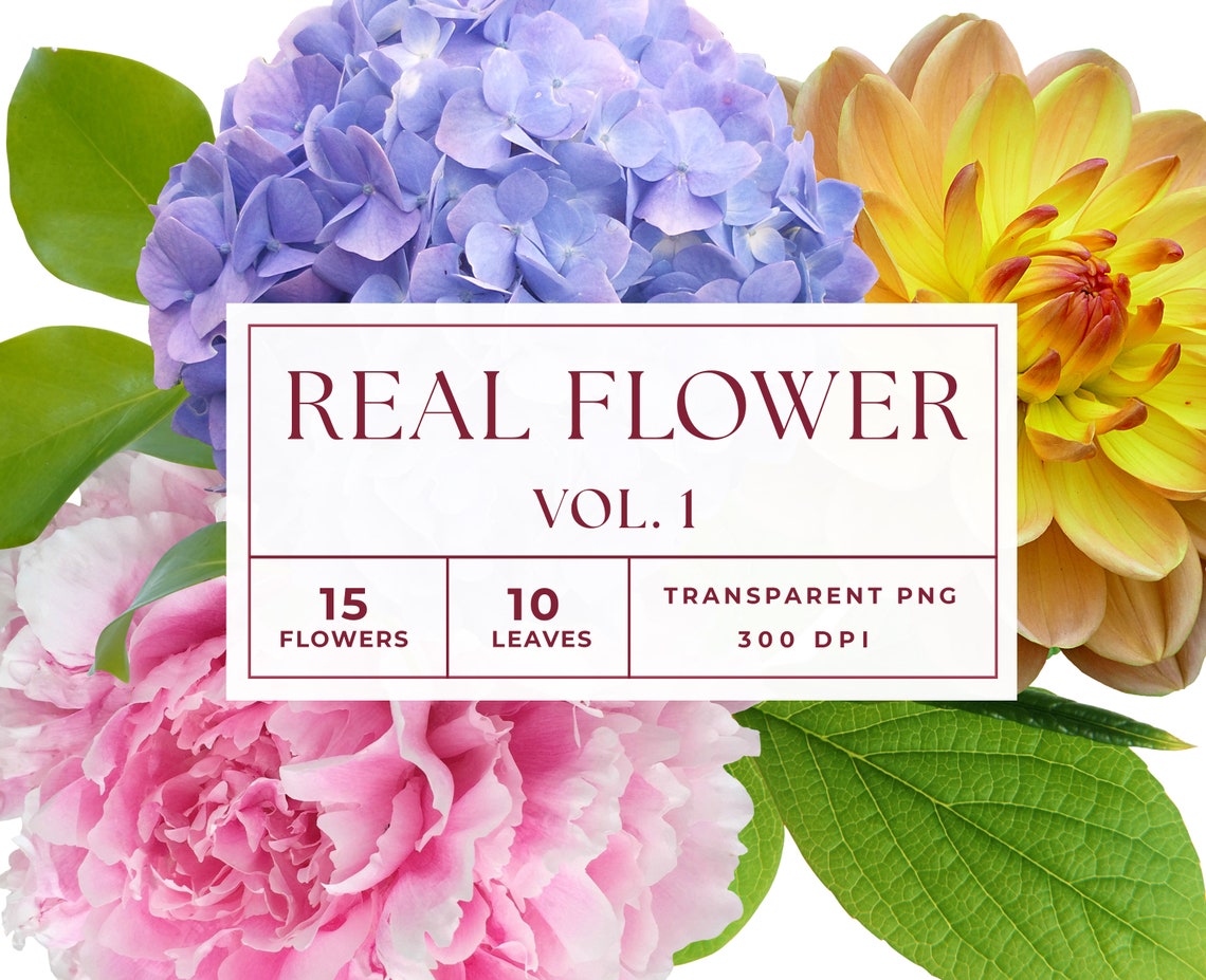 REAL Flower Clipart, Flower Clipart, Leaf Clipart, Flower Clip Art ...