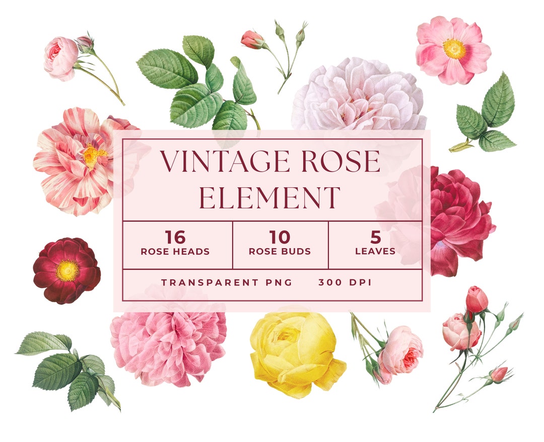 Vintage Flower Clipart, Rose Flower Elements, Vintage Rose Flower ...