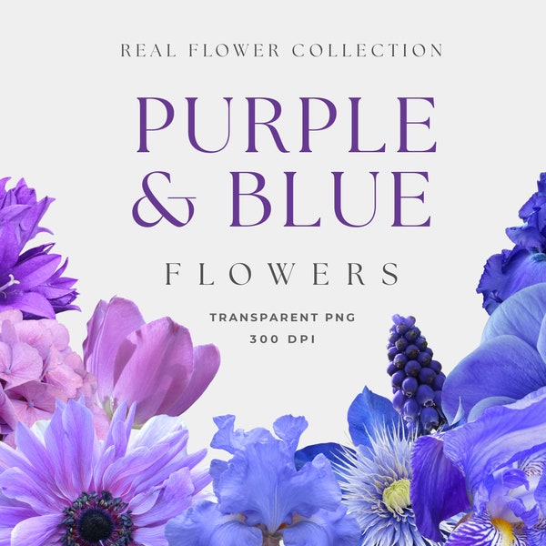 Blue Purple Flower Png - Etsy