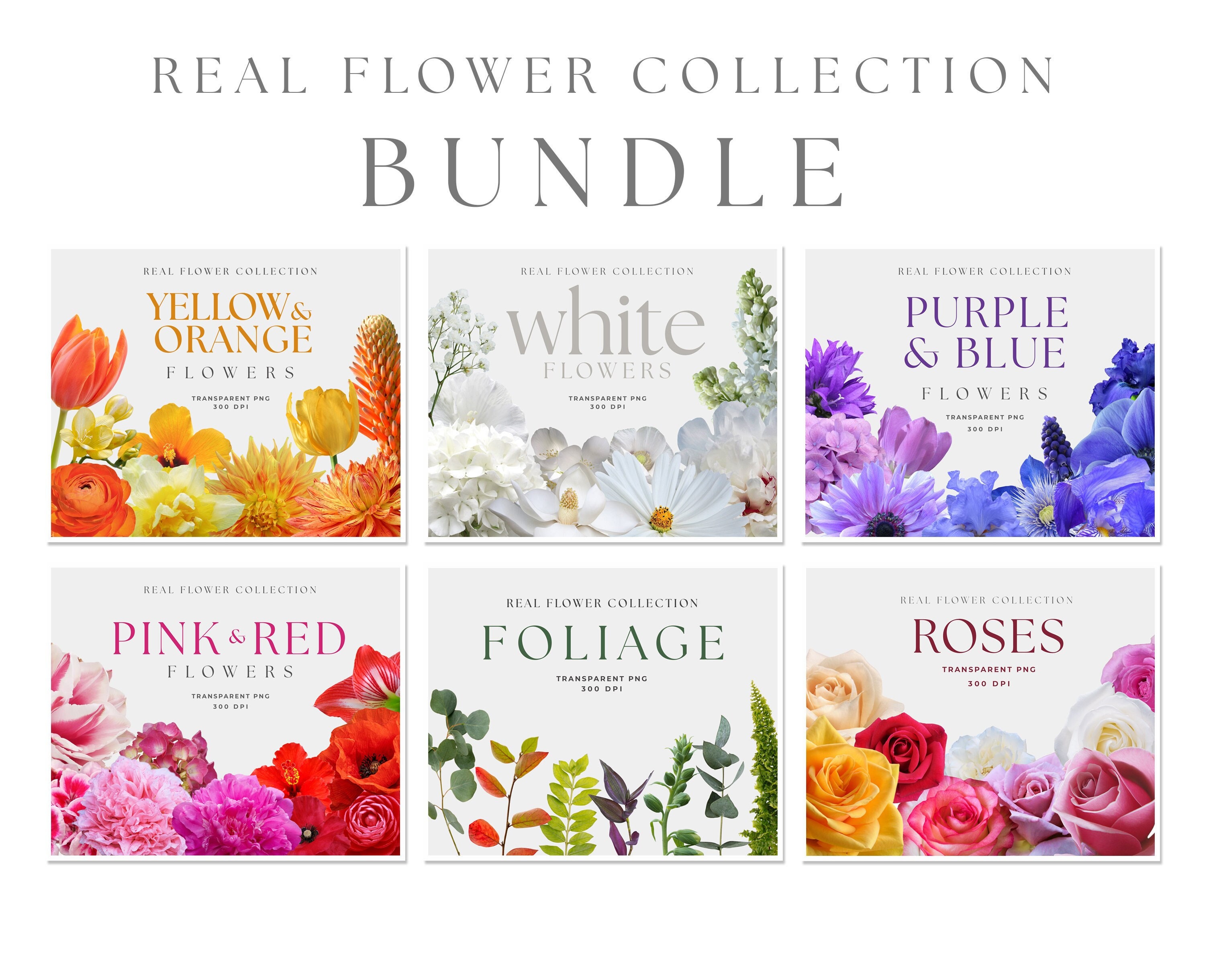 REAL Flower Clipart, Bundle, Flower PNG, White Flower, Rose Clip Art ...