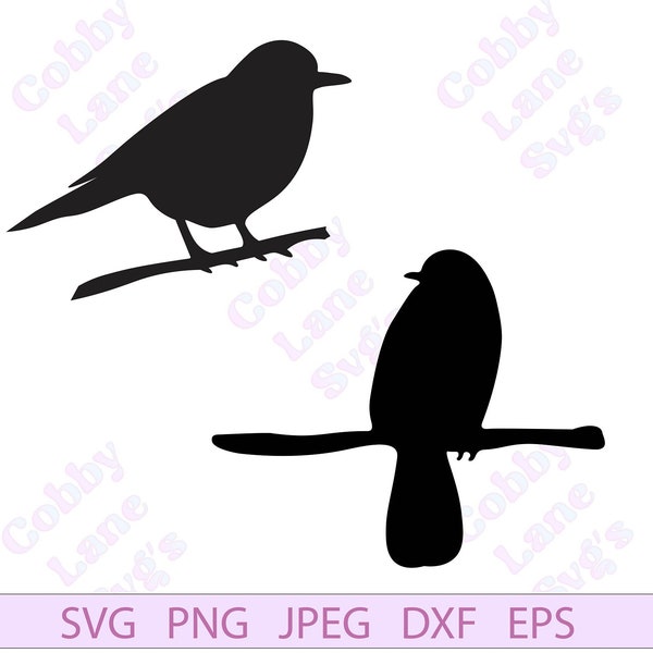 Cricket, Cricket Insect, Cricket Svg, Grasshopper, Grasshopper Svg ...