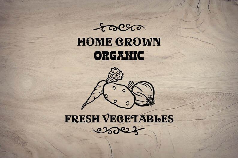 Vegetable Patch Svg, Veggie Patch Svg, Organic Vegetables, Garden Svg ...