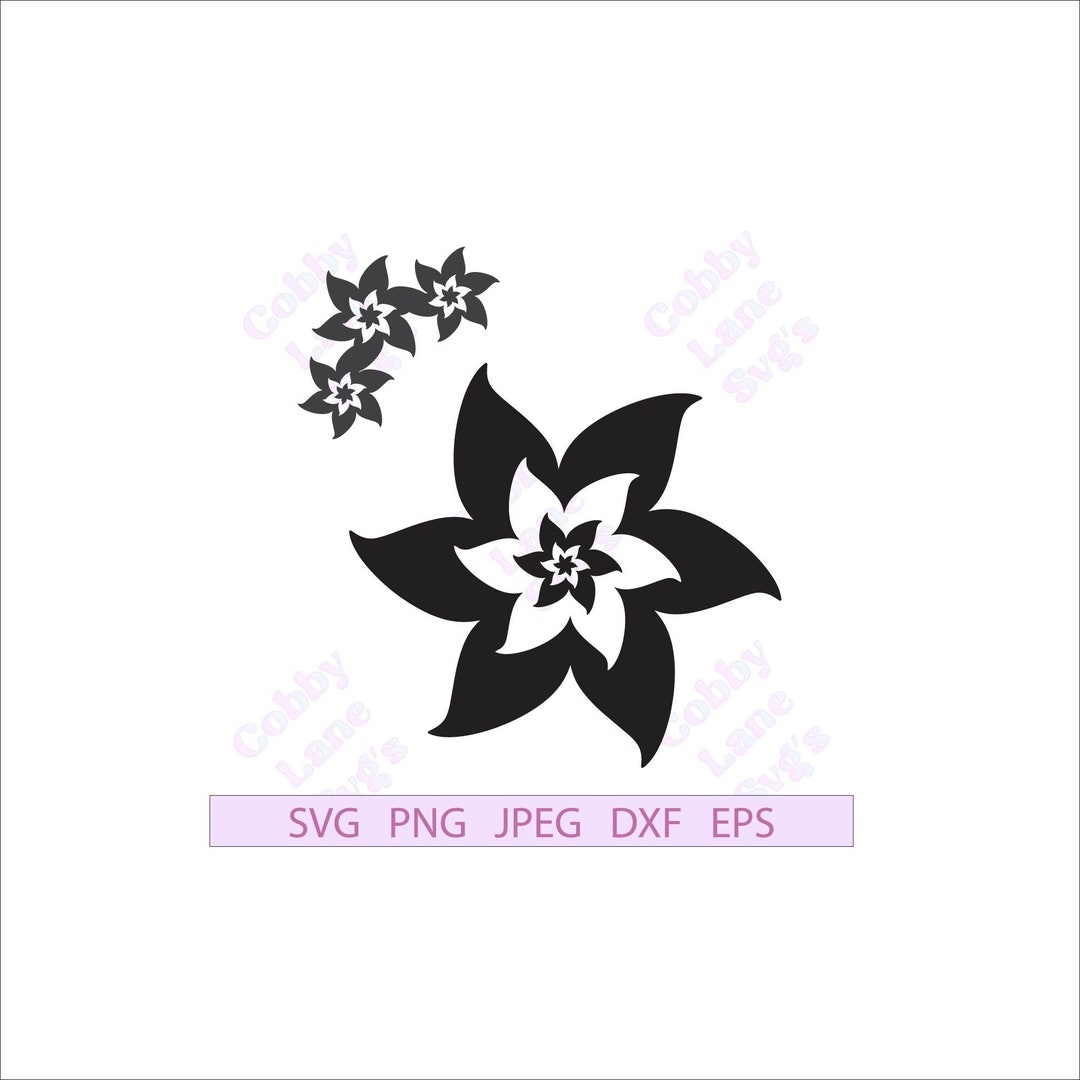 Flower Svg, Flowers, Floral Svg, Frangipani Svg, Frangipani Flower, Svg ...