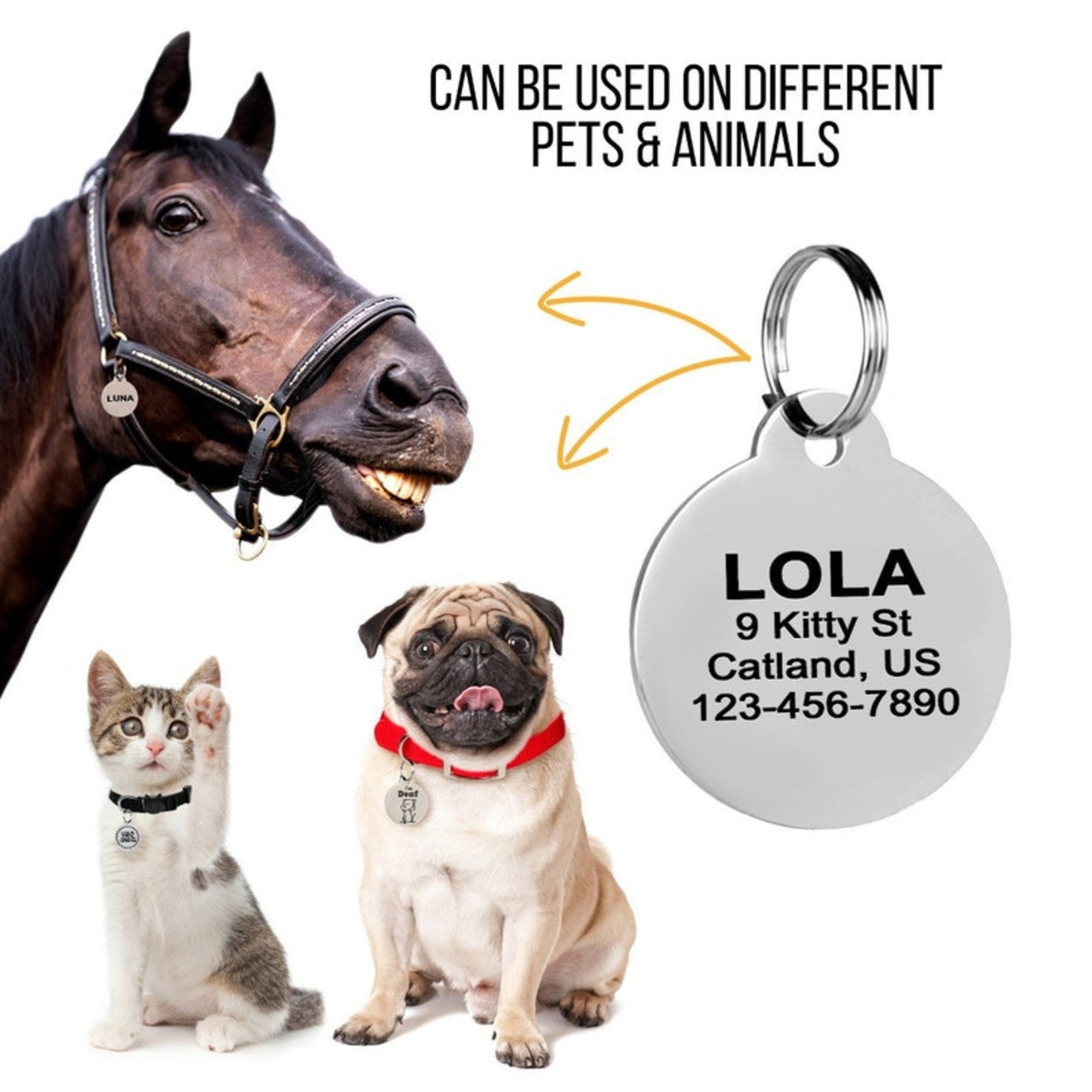 Custom Engraved Pet ID Tag: Stainless Steel Dog & Cat Tag - Etsy