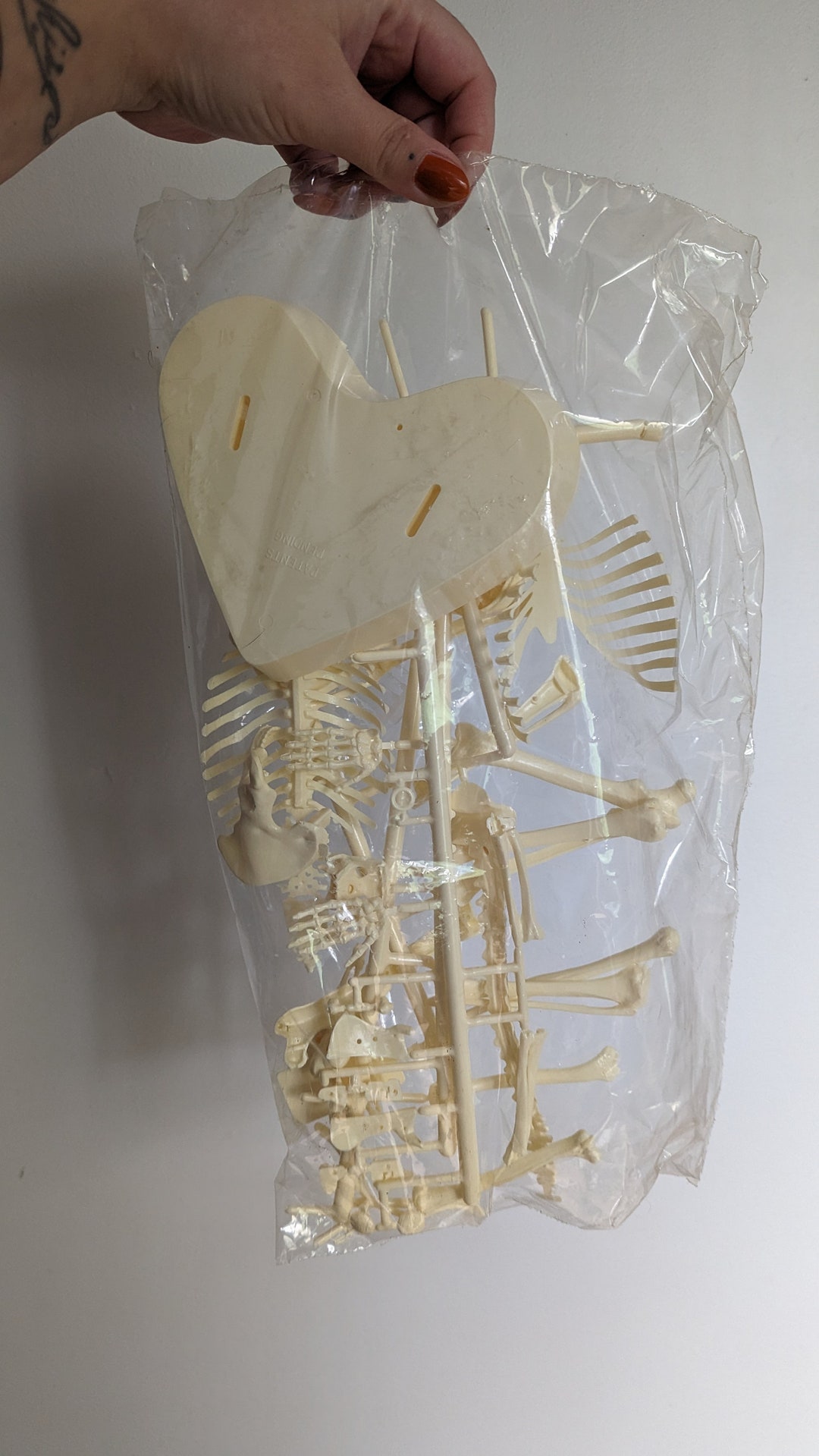 Revell Model Kit the Visible Man Vintage - Etsy