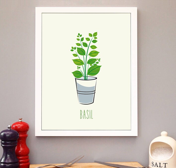 BASIL Herbs Kitchen Printable Poster Illustration Graphic | Etsy