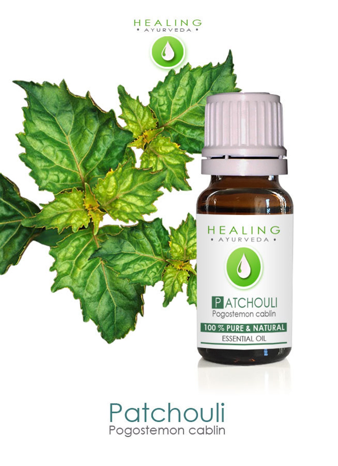 Patchouli Essential Oil- Premium Wild Crafted -pure Therapeutic ...