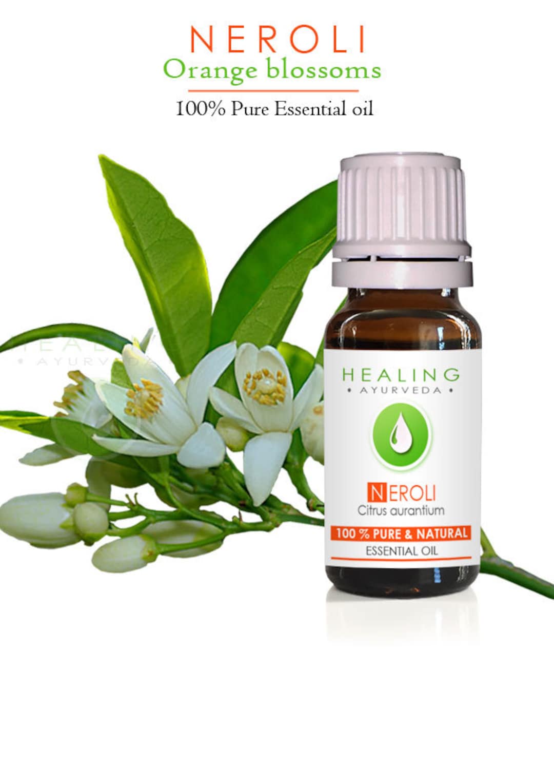 Neroli Essential Oil- 100% Pure Neroli Oil- Natural Orange Blossoms Oil ...