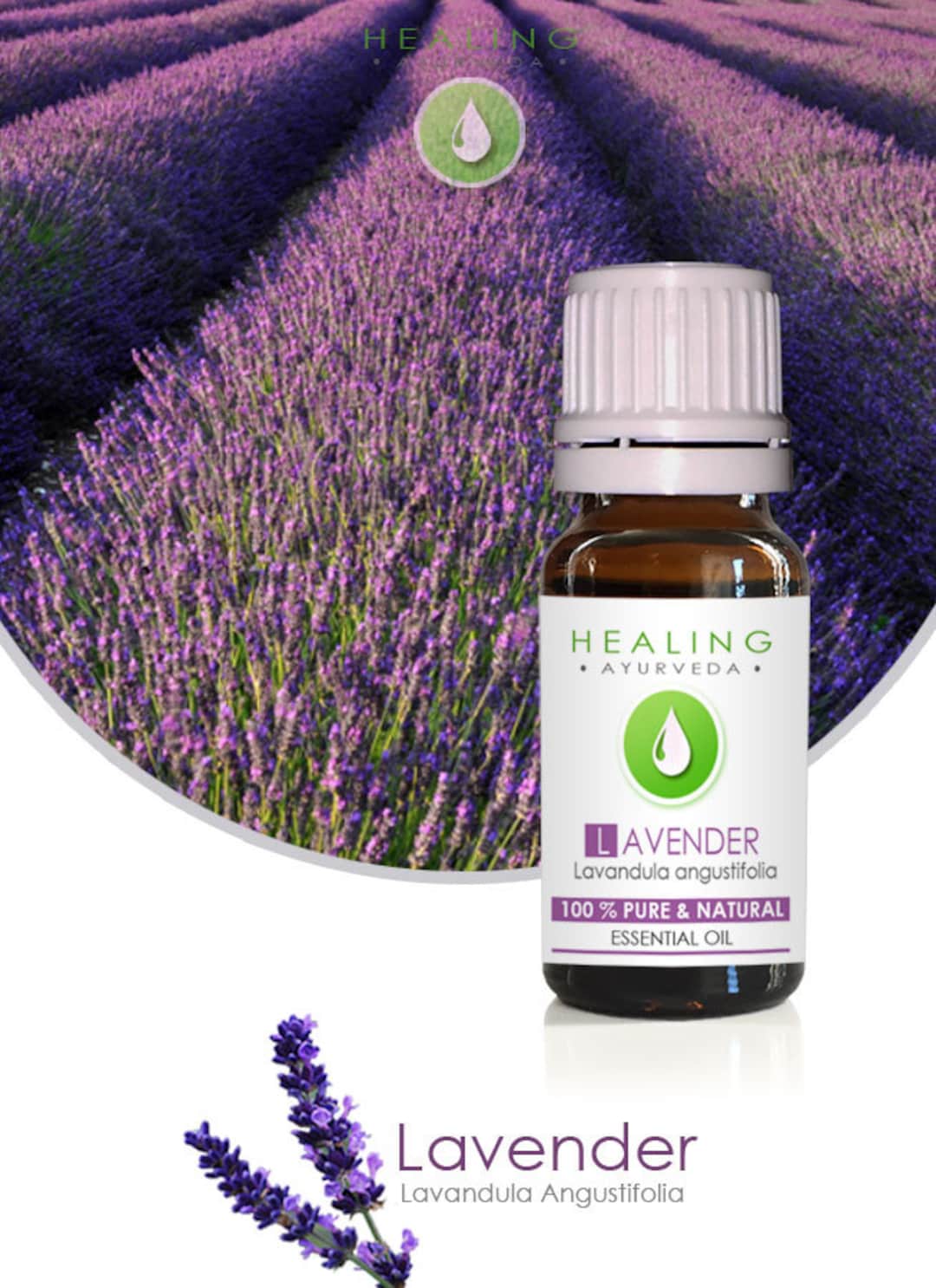 Lavender Essential Oil- 100% Pure Essential Oil- Lavender Flower Oil ...