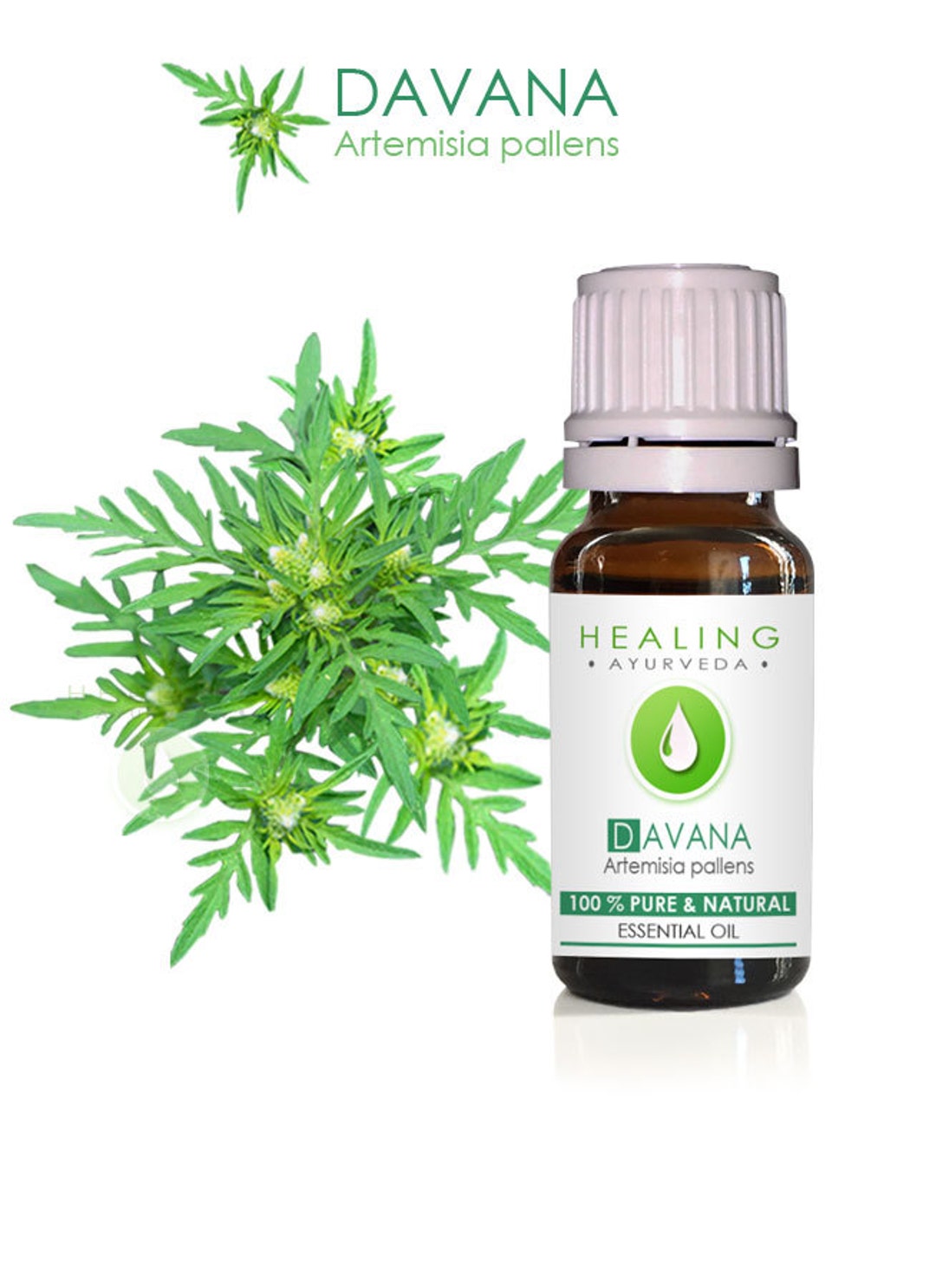 Davana Essential Oil- 100% Pure Essential Oil-davanam- Aromatherapy ...