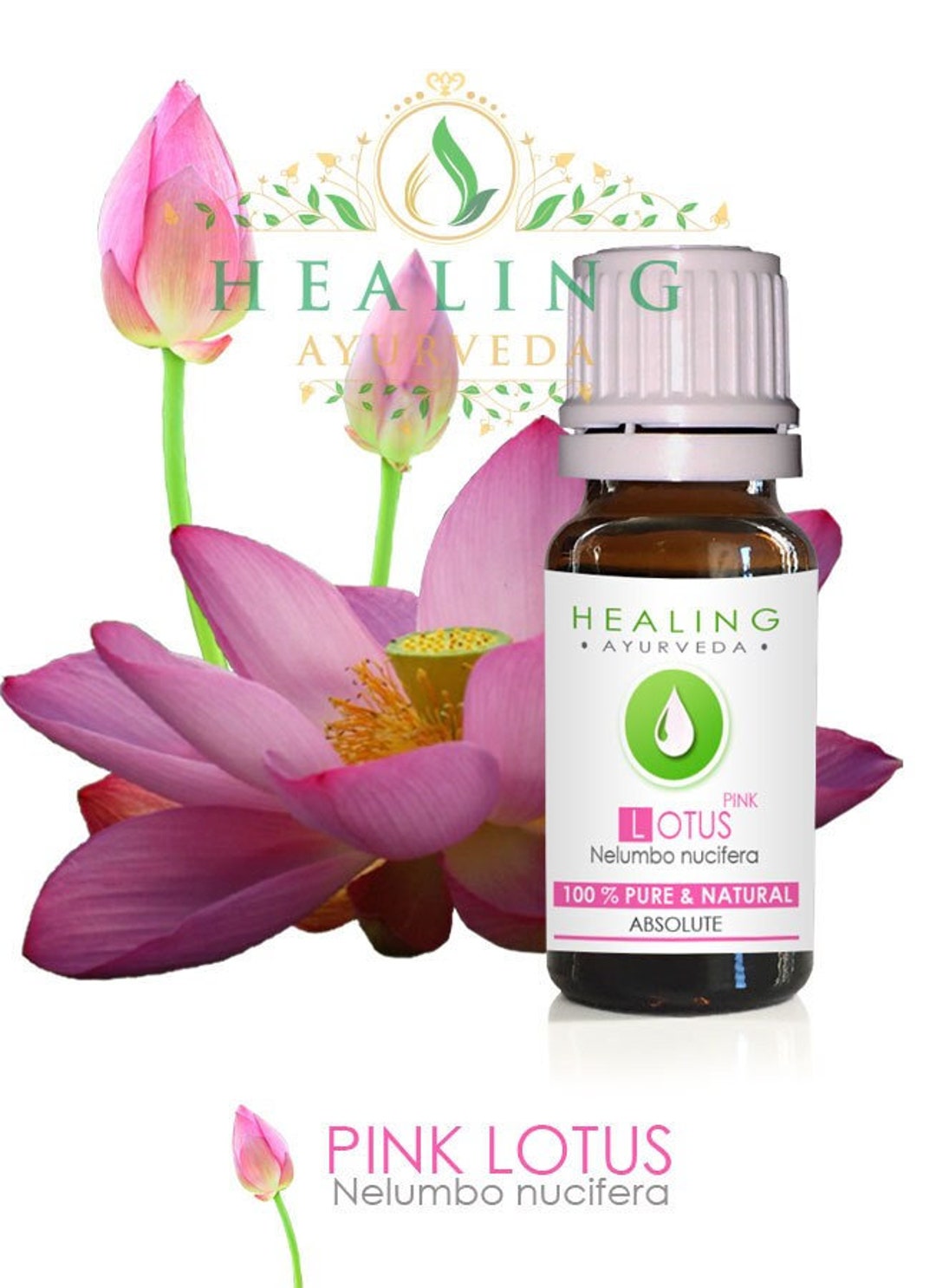 Pink Lotus Absolute Natural Lotus Flower Oil-nelumbo - Etsy