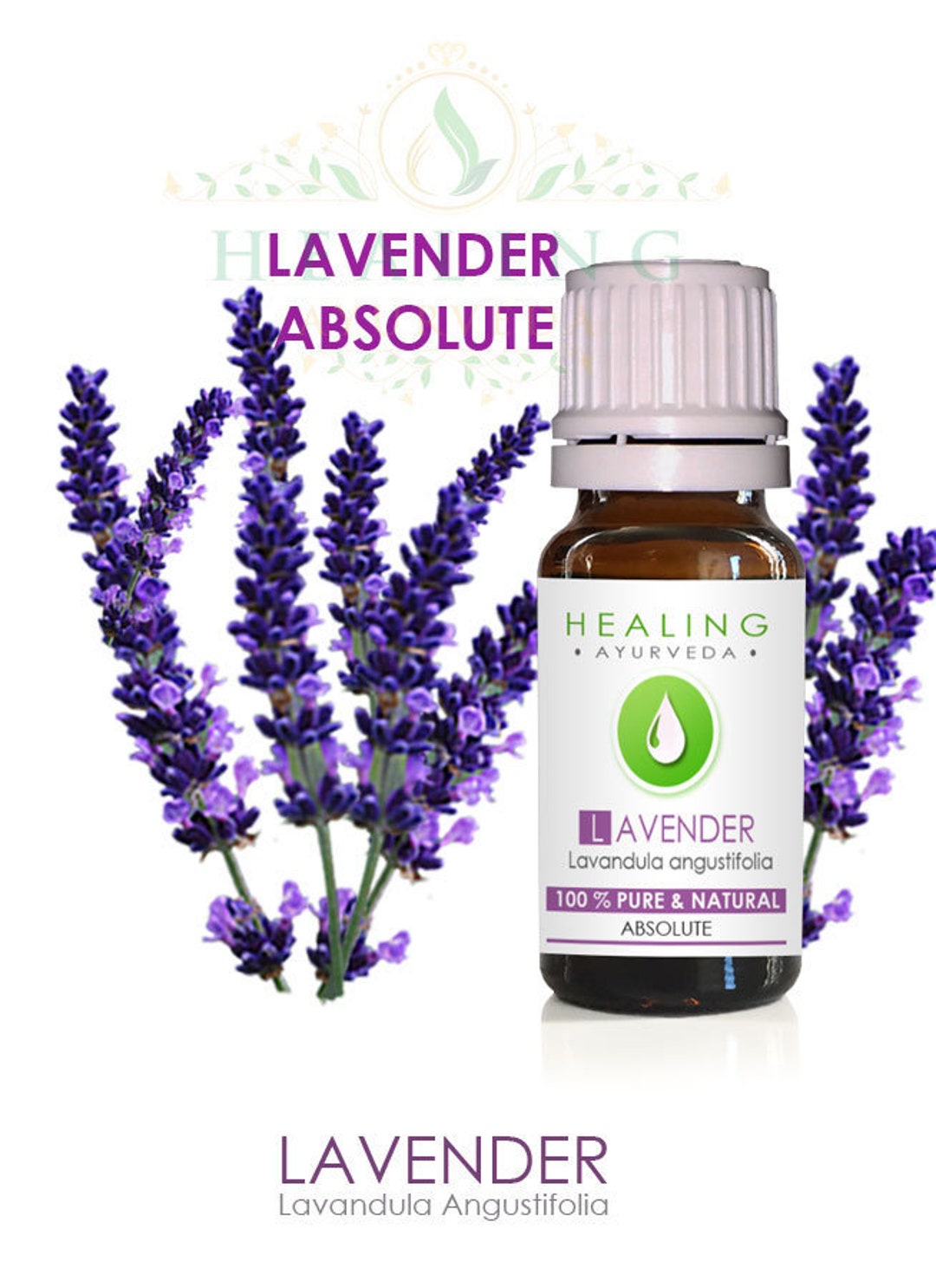 Lavender Absolute - Pure Lavender Flower Oil- Lavendula Angustifolio ...