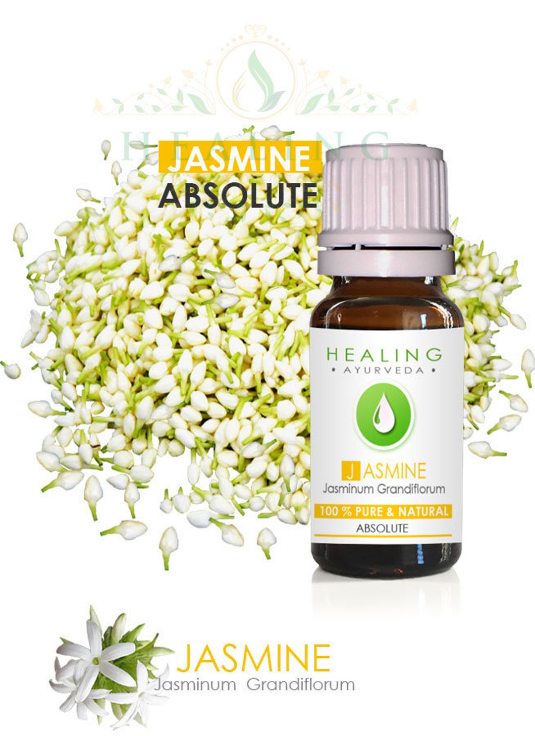 Jasmine Absolute -pure Jasmine Grandiflorum- Natural Jasmine Flower Oil ...