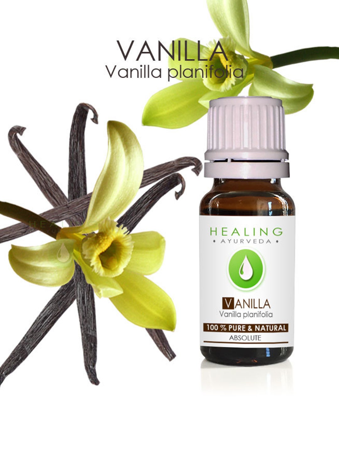 Vanilla Absolute- True Vanilla Absolute- Pure Vanilla Oil- Vanilla ...