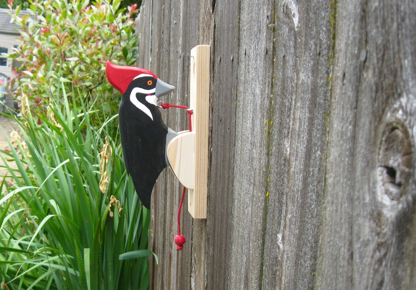 Pileated Male Wood Pecker Door Knocker. - Etsy