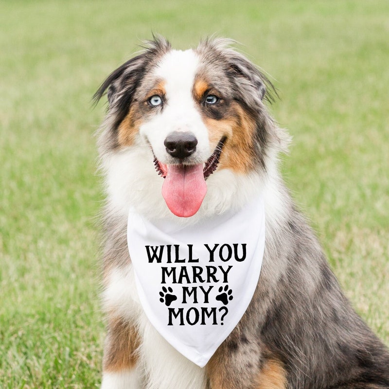You Me and the Dog - Etsy