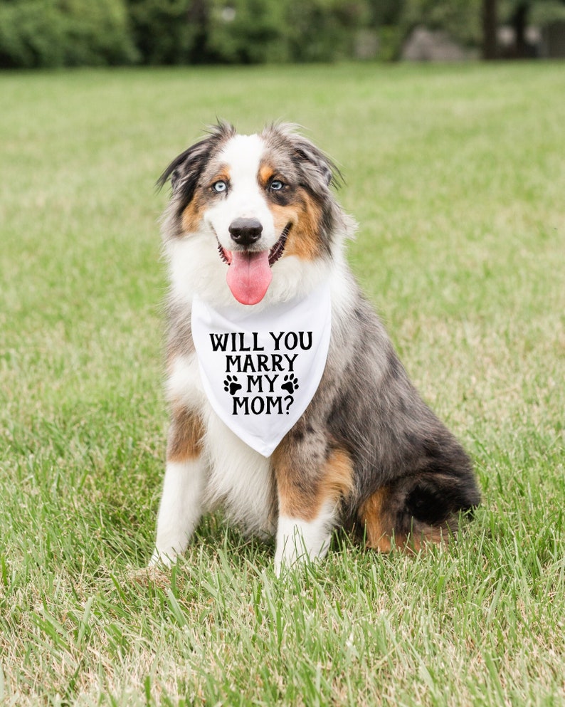 Dog Proposal Dog Bandana Proposal Proposal Ideas Wedding - Etsy