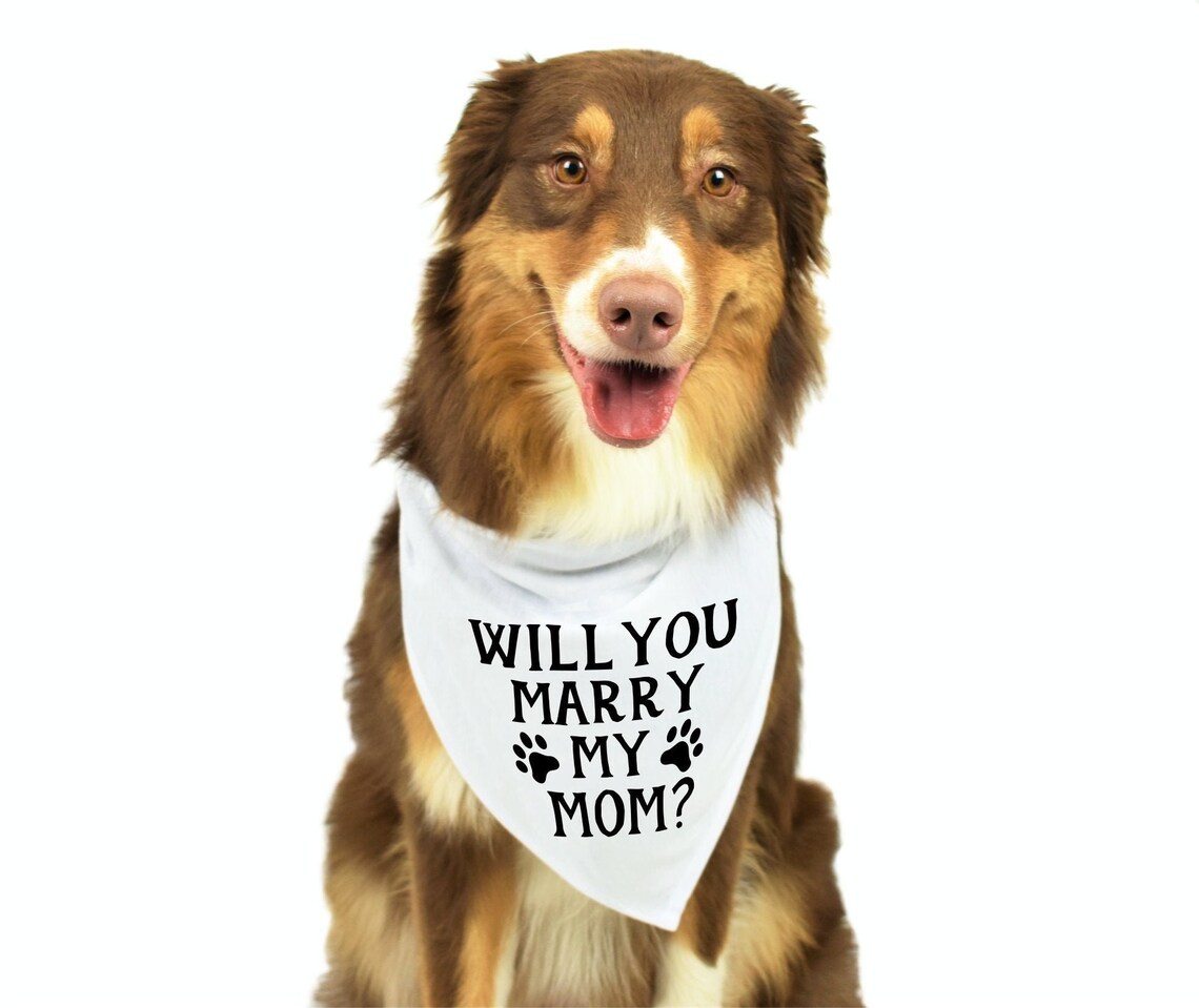 Dog Proposal Dog Bandana Proposal Proposal Ideas Wedding - Etsy