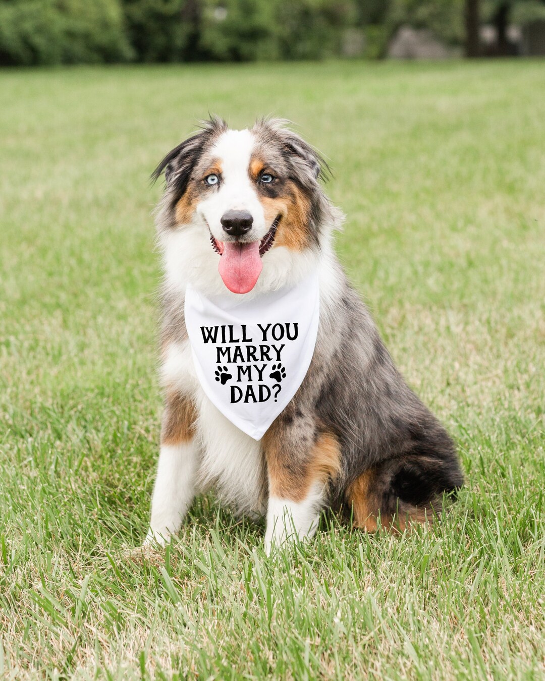 Marriage Proposal, Dog Marriage Proposal, Proposal Ideas, Unique ...