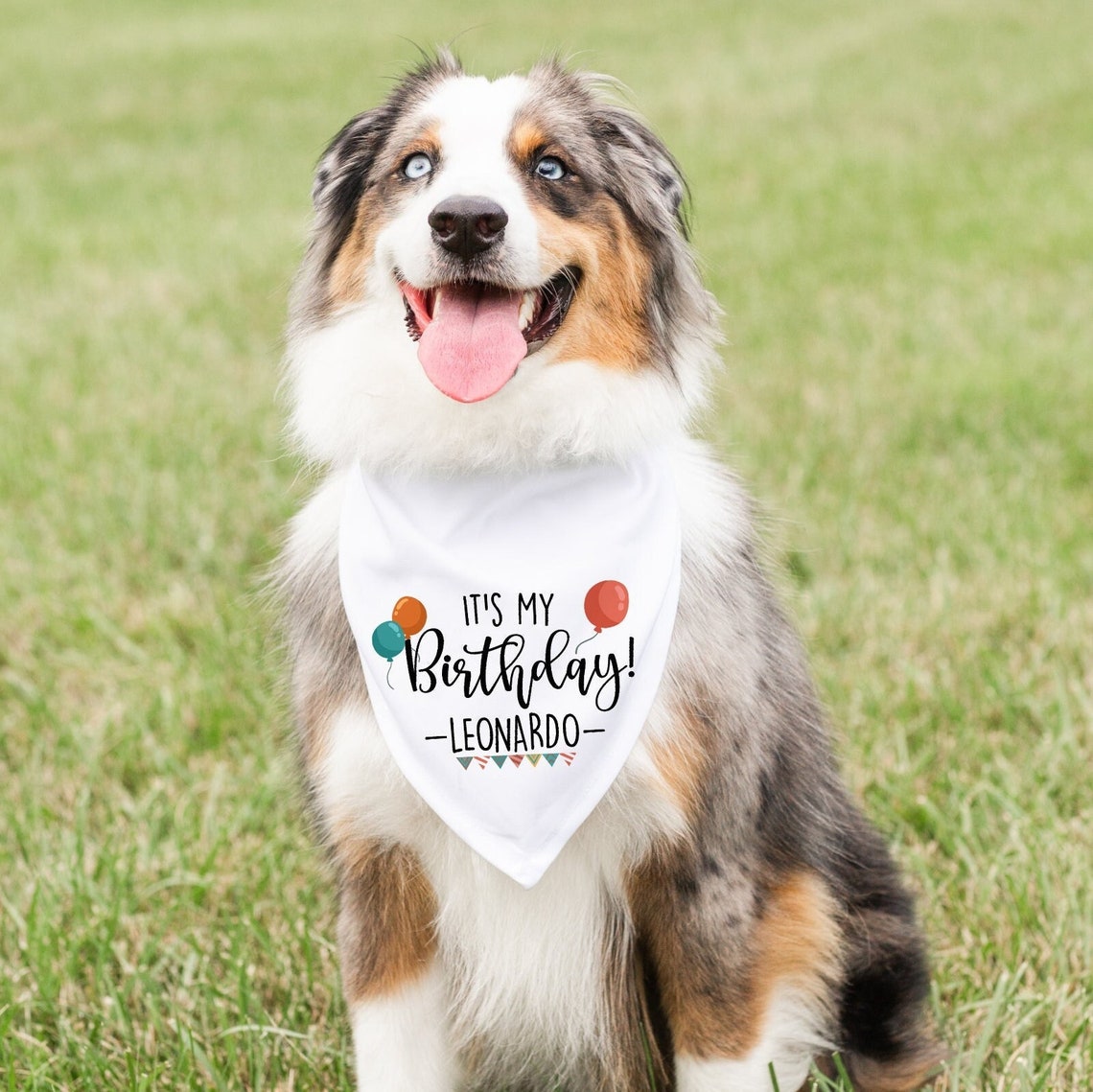 Birthday Dog Dog Birthday Bandana Dog Birthday Party Dog - Etsy