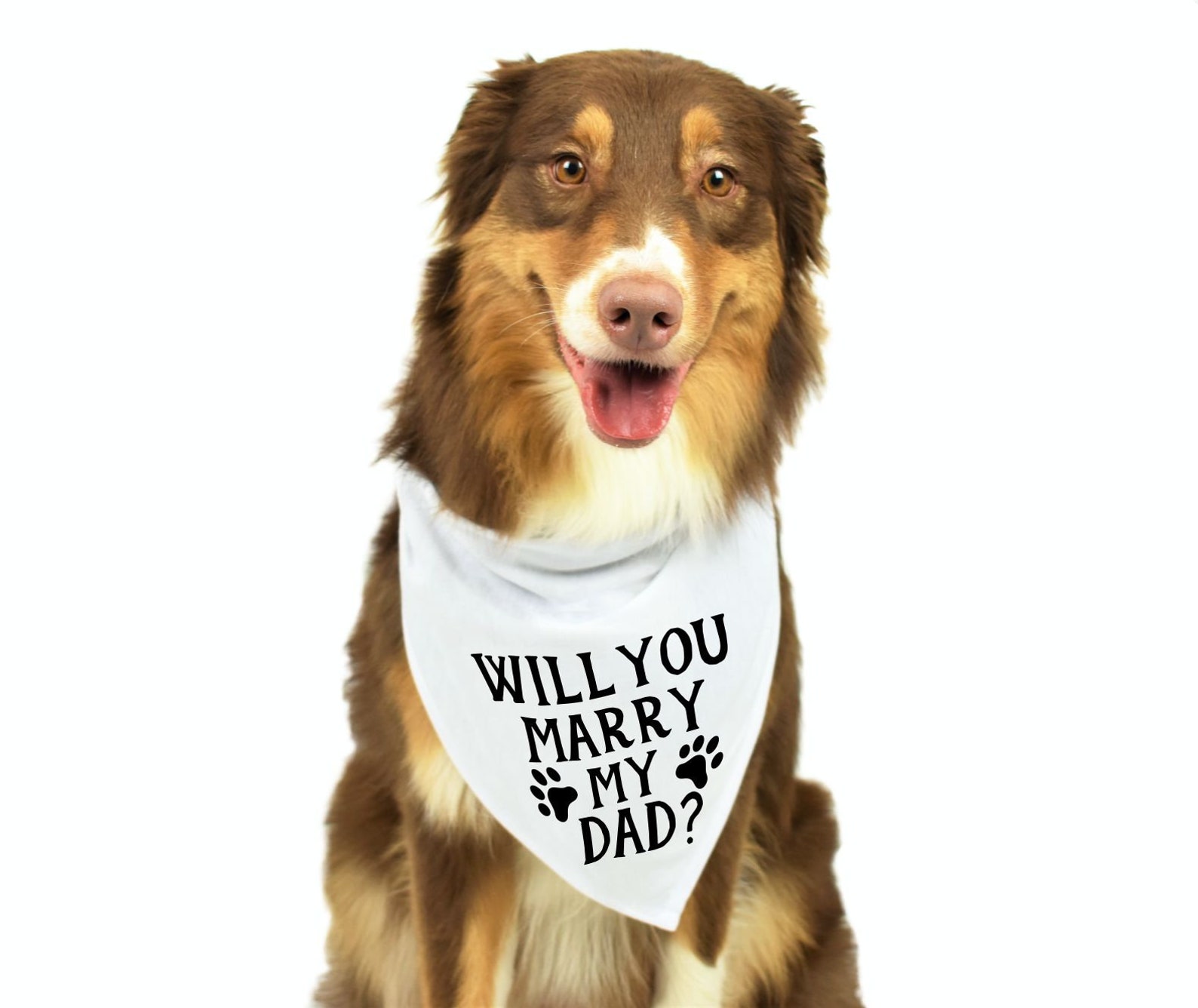 Marriage Proposal Dog Marriage Proposal Proposal Ideas | Etsy