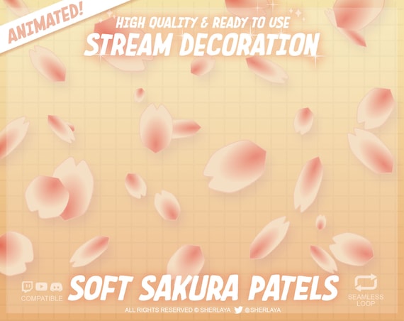 1x Animated Stream Decoration Sakura Petals Fullscreen Overlay - Etsy