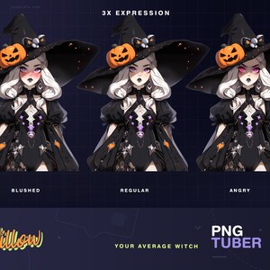 PNG Tuber Willow Your Average Witch / Pngtuber / Asset/ Model / Vtuber ...