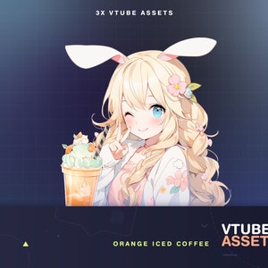 Vtuber Assets Orange Iced Coffee / Vtube / Vtubing / Twitch / Kawaii ...