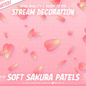 1x Animated Stream Decoration Sakura Petals Fullscreen Overlay / Spring ...