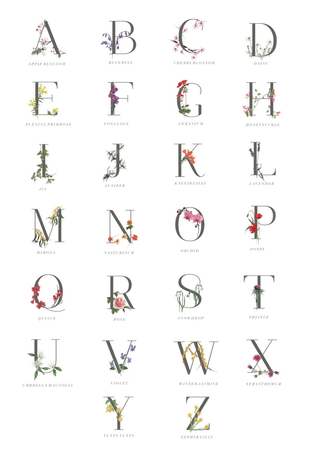 Botanical Alphabet Poster. Poster. Large Art Print. Botanical Art Print ...