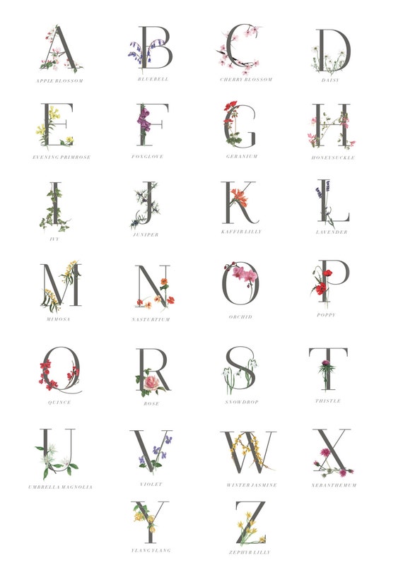 Botanical Alphabet Poster. Poster. Large Art Print. Botanical - Etsy